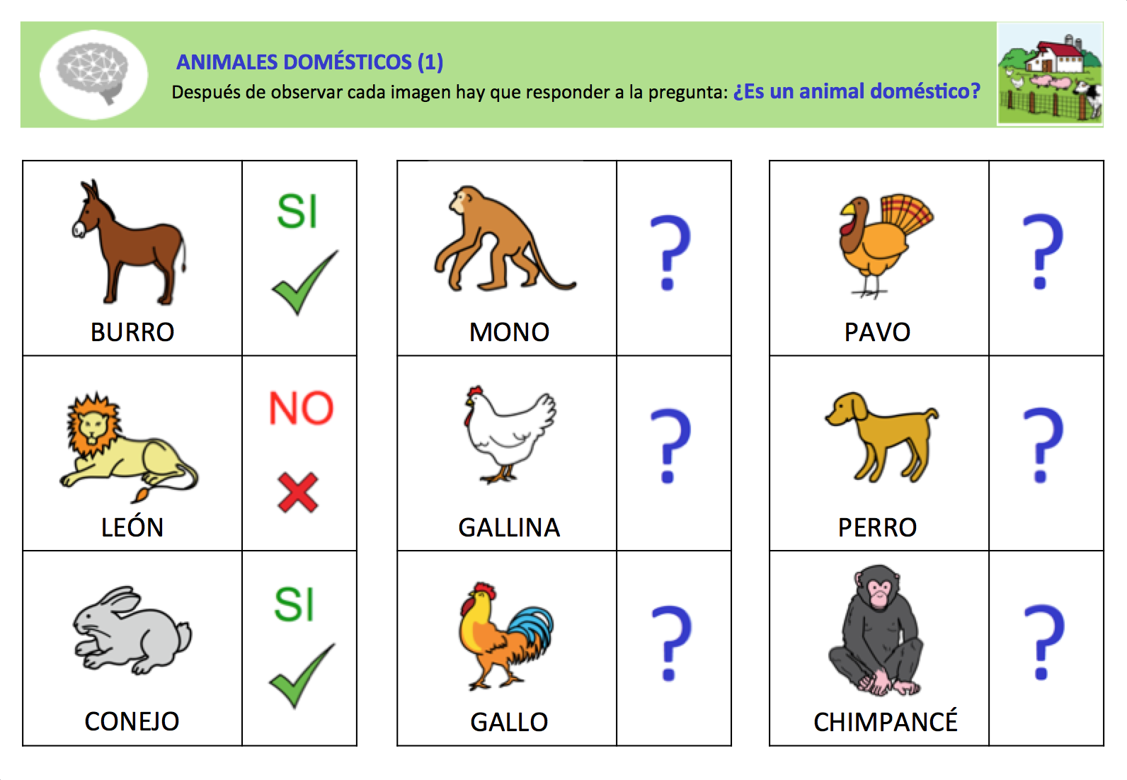 Animales Domesticos Y Salvajes