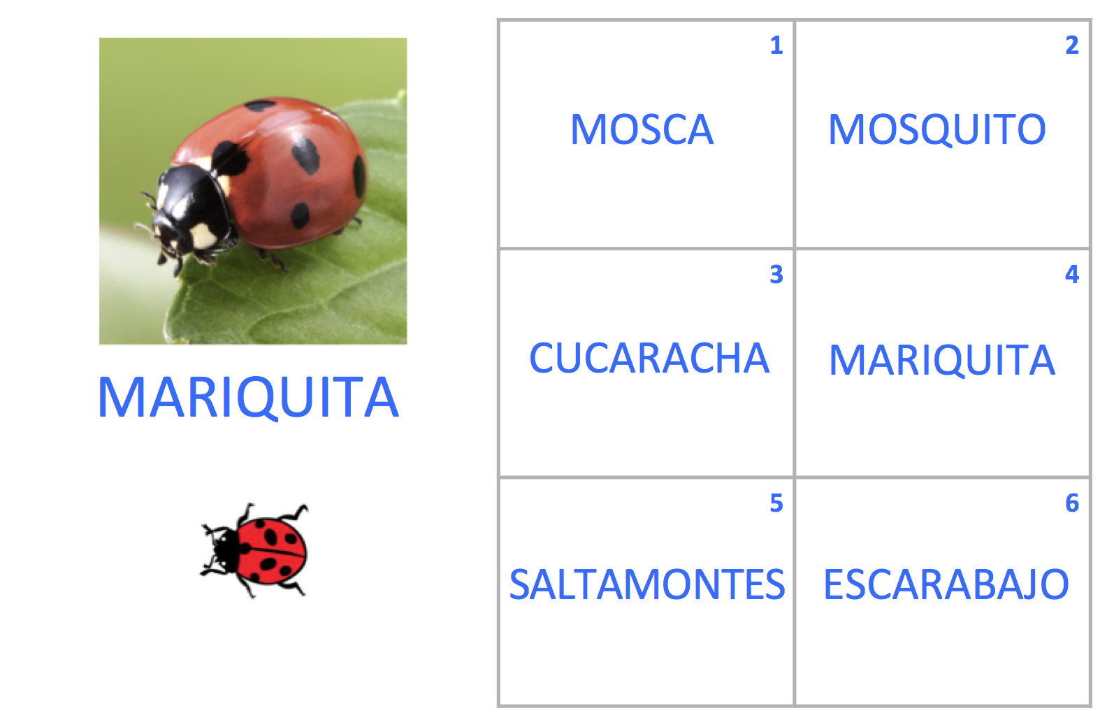 Vocabulario: INSECTOS – Un mar de palabras. Estimulación cognitiva.