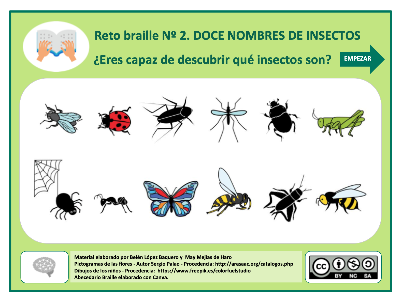 Nombres De Insectos